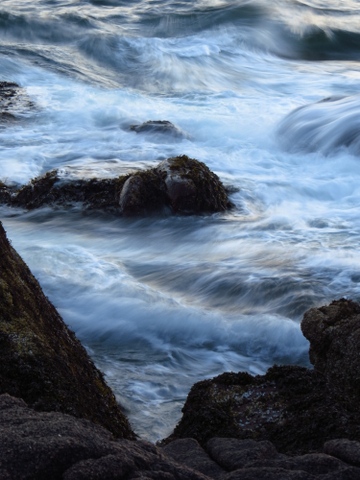 Lessons from Doug - Presence-Based Coaching